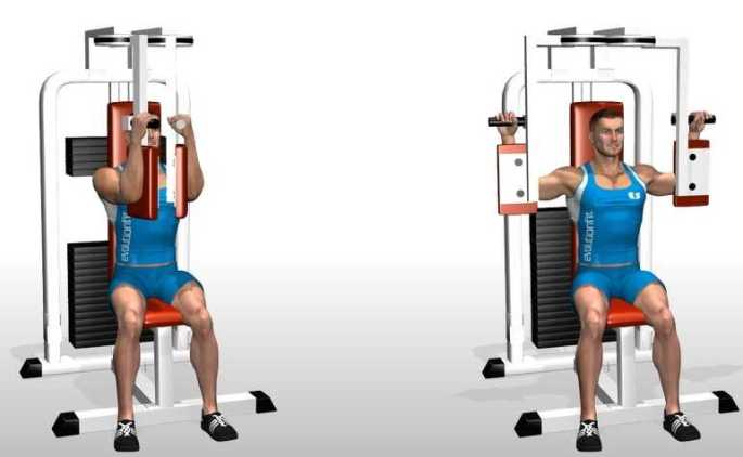 The 4 Best Chest Workout for Men for Maximum Result – Bellisima Fitness