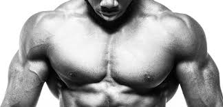 The 4 Best Chest Workout for Men for Maximum Result – Bellisima Fitness
