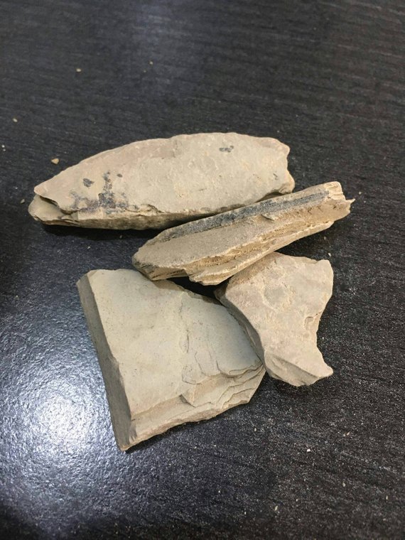 NZU – Bellisima Fitness